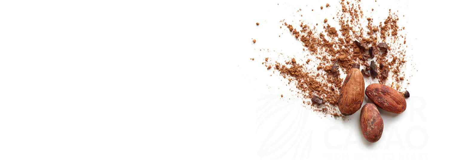 Color Cacao - Chocolates artesanales finos de Origen Colombiano